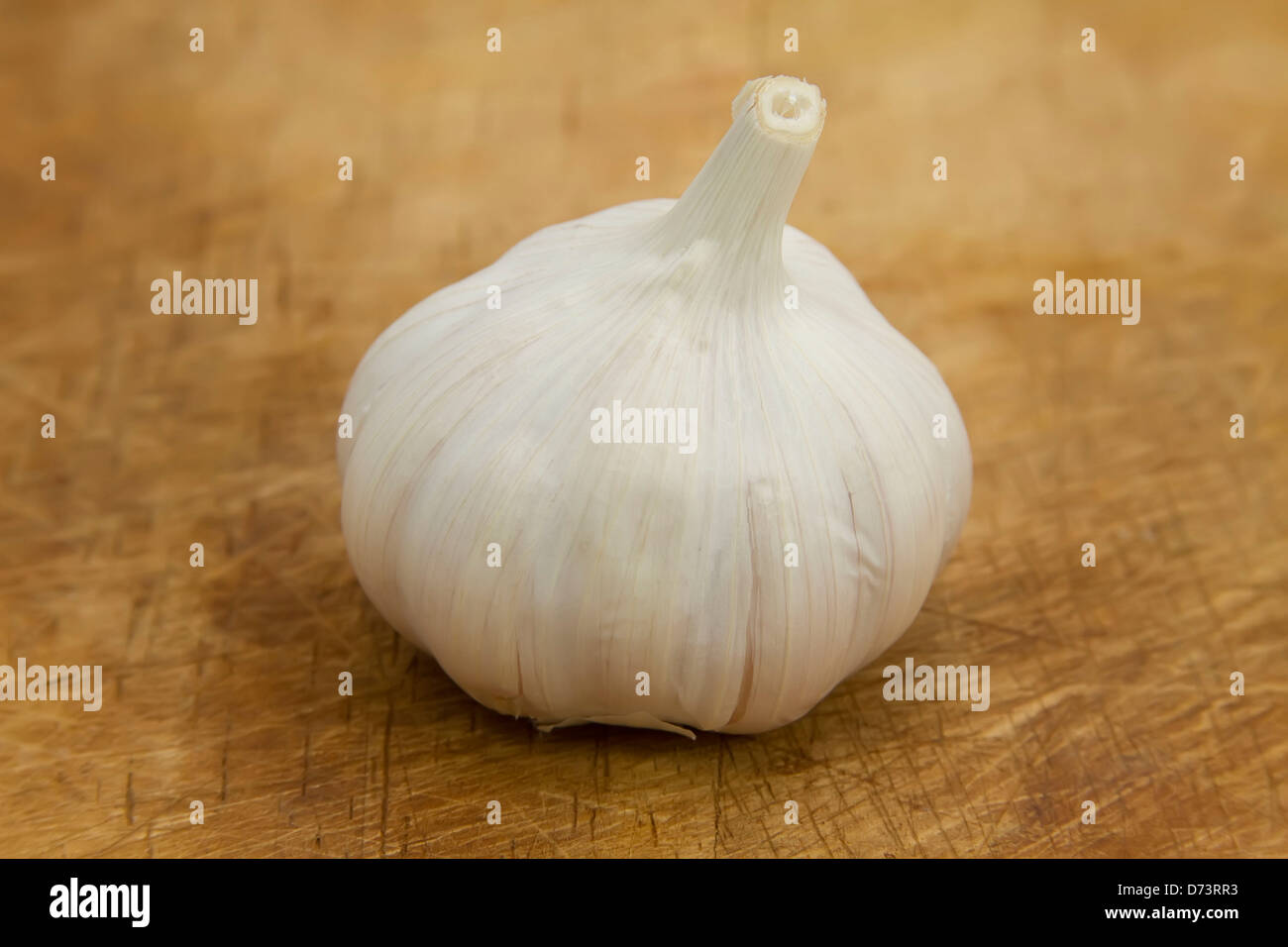 Full bulb hi-res stock photography and images - Alamy