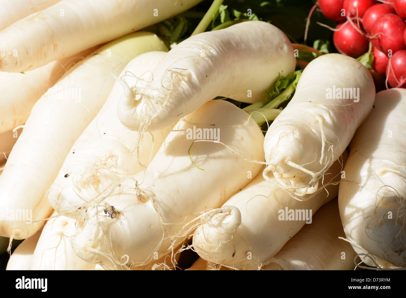 Selling fresh white radish roots at the market Stock Photo - Alamy