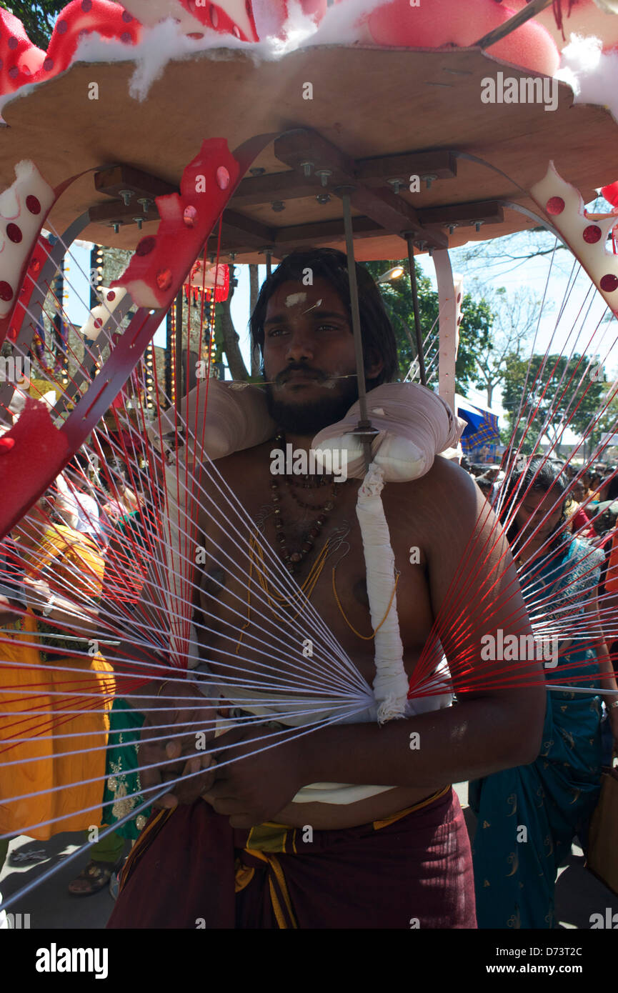 Celebrating thaipusam hi-res stock photography and images - Alamy