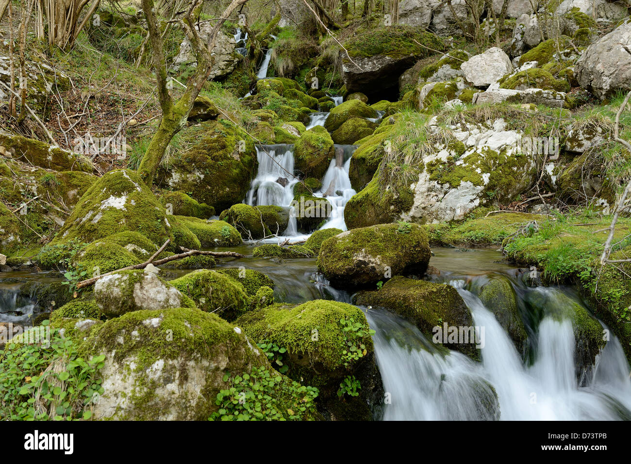 Ason river, Cantabria, Spain Stock Photo - Alamy