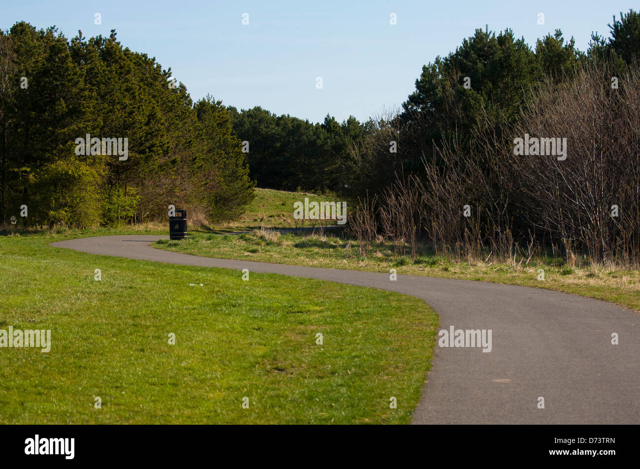 Park path trees hi-res stock photography and images - Alamy