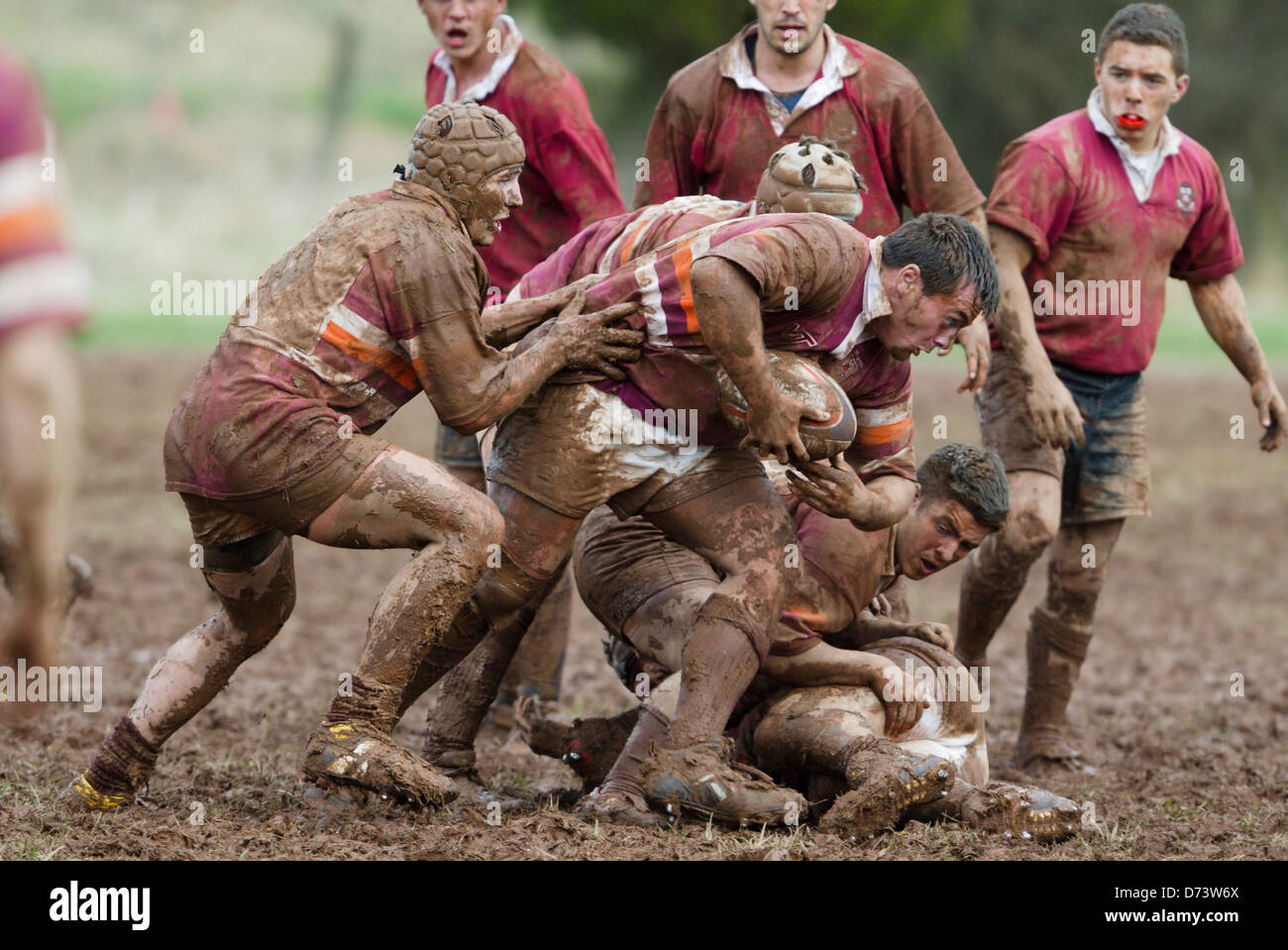 Rugby team game hi-res stock photography and images - Alamy
