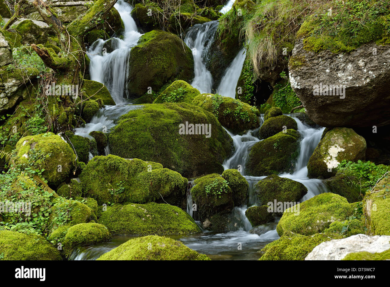 Ason river, Cantabria, Spain Stock Photo - Alamy