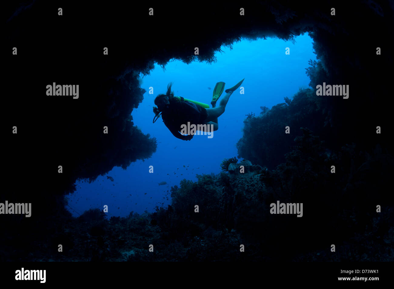 A female scuba divers swims in an naturally formed underwater arch ...