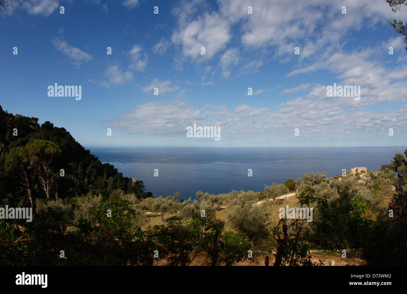 Landscape in Spain´s Palma de Majorca island Stock Photo - Alamy