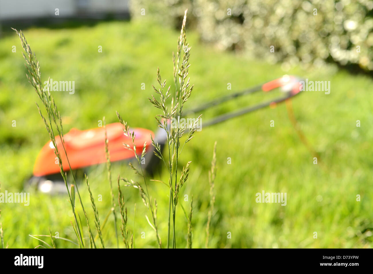 lawn mower in long grass Stock Photo - Alamy