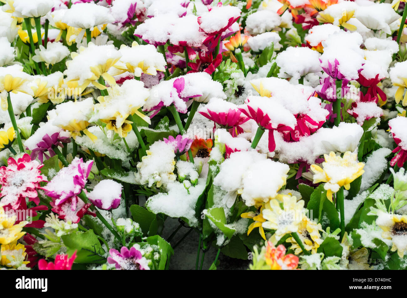 China country hi-res stock photography and images - Alamy