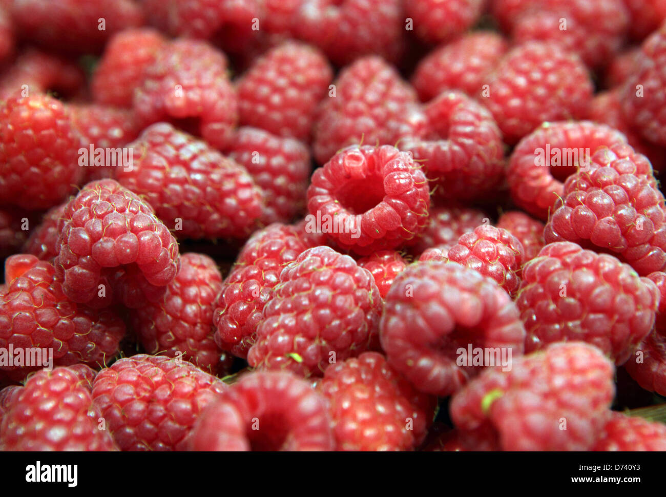 Berlin, Germany, raspberries at Fruit Logistica Stock Photo - Alamy