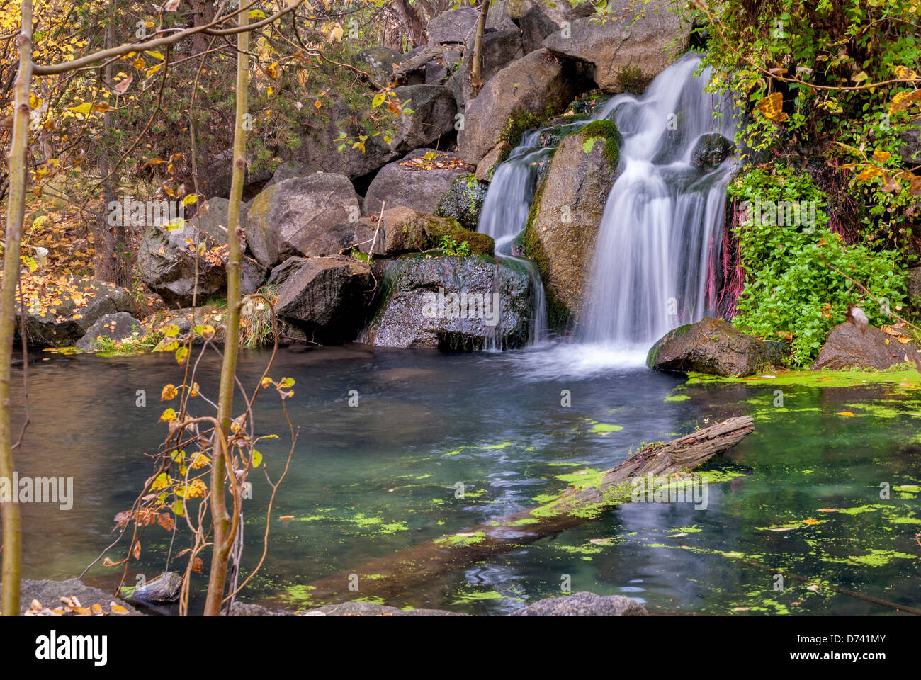 Murky Pond Stock Photos & Murky Pond Stock Images - Alamy