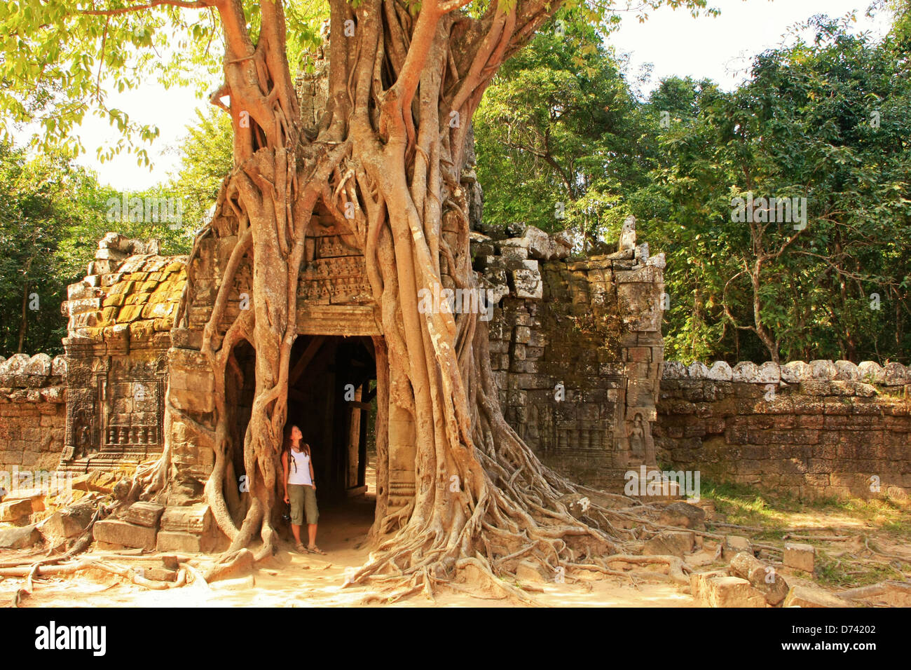 Ta Som temple, Angkor area, Siem Reap, Cambodia Stock Photo - Alamy