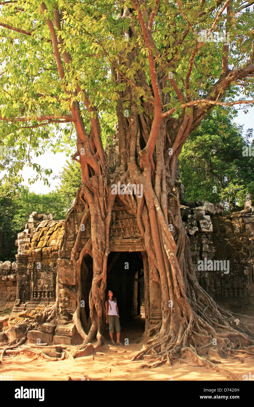 Ta Som temple, Angkor area, Siem Reap, Cambodia Stock Photo - Alamy