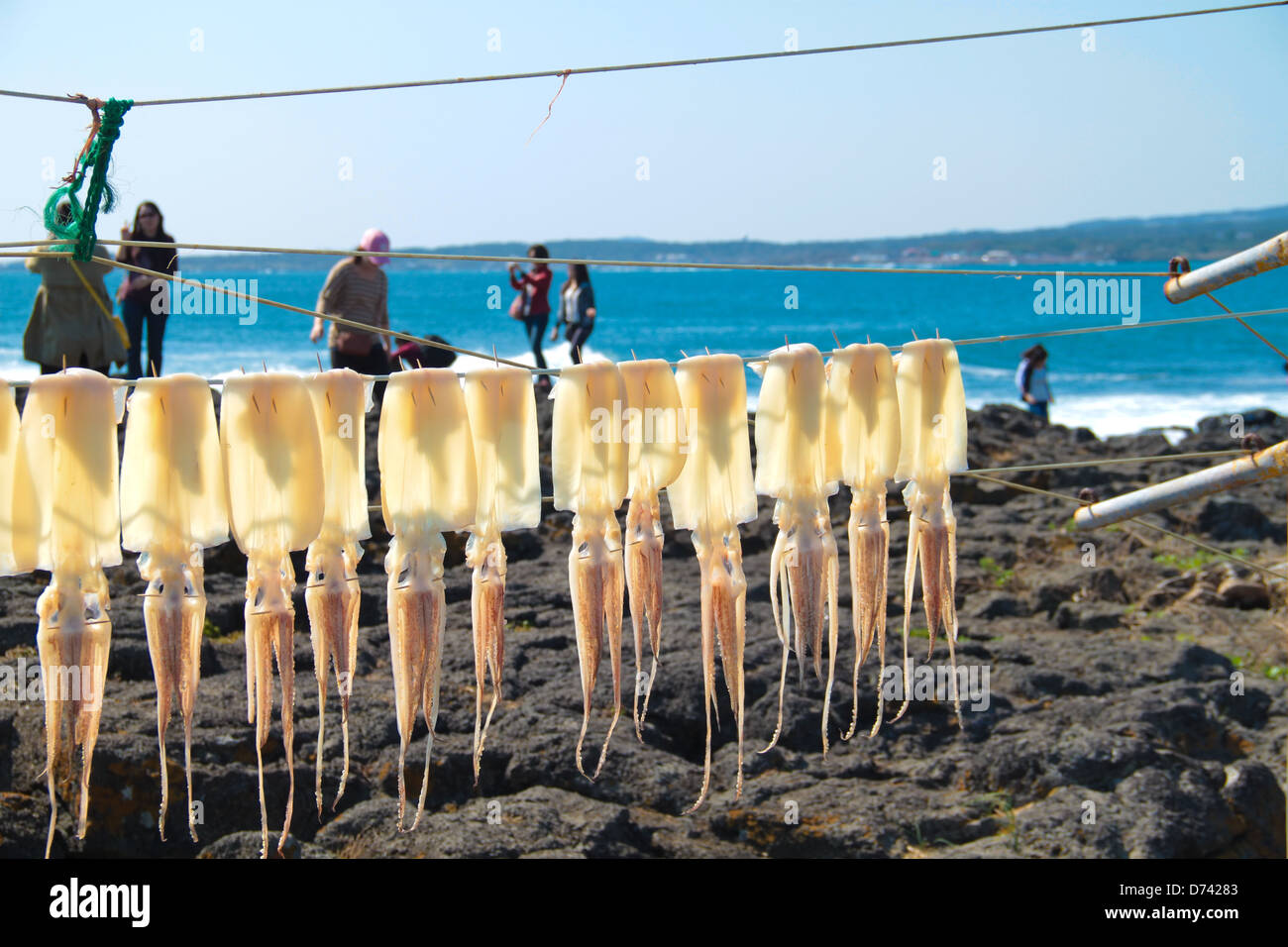 Squid drying on a beach Stock Photo - Alamy