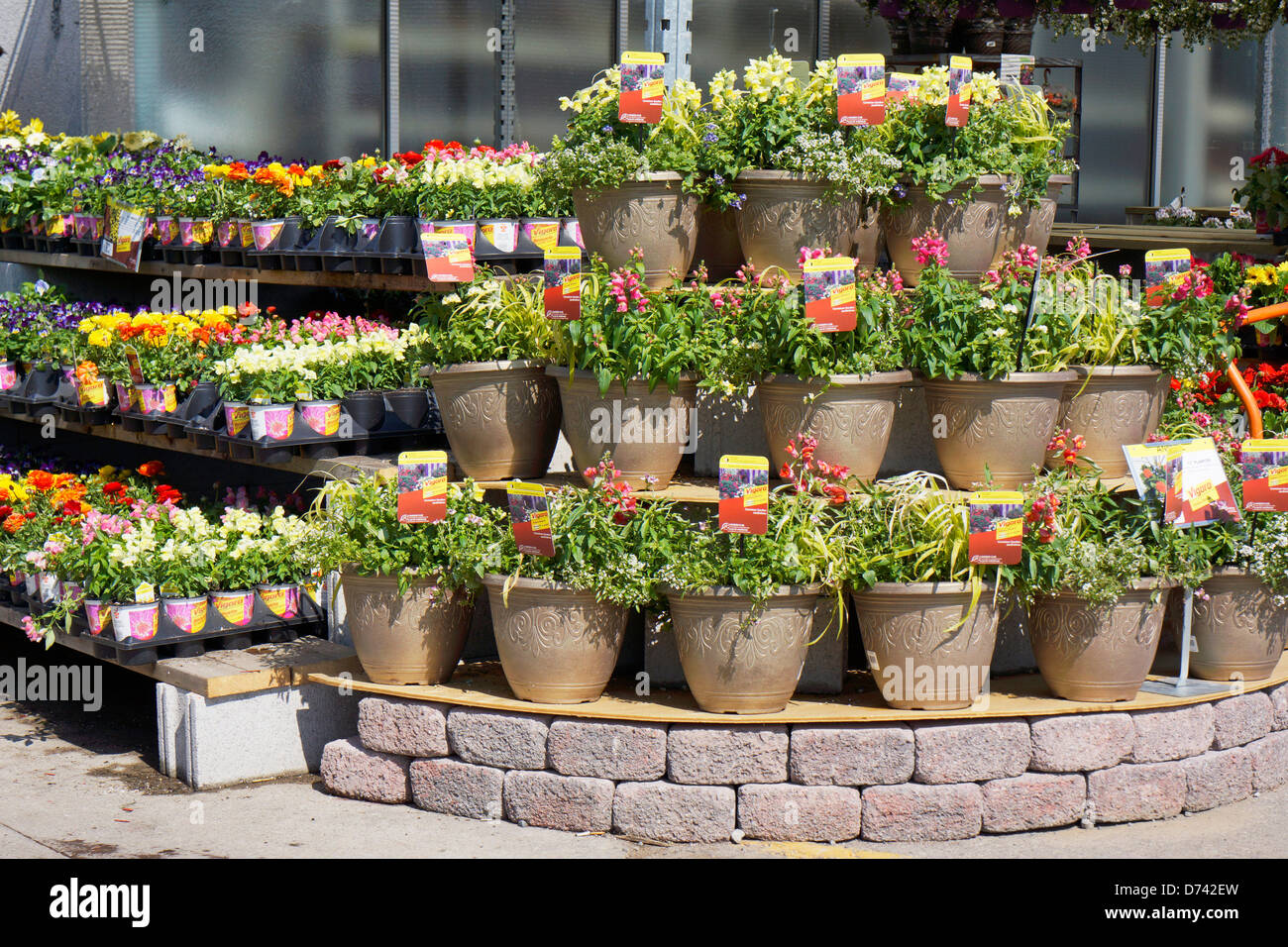 Potted plants display hi-res stock photography and images - Alamy