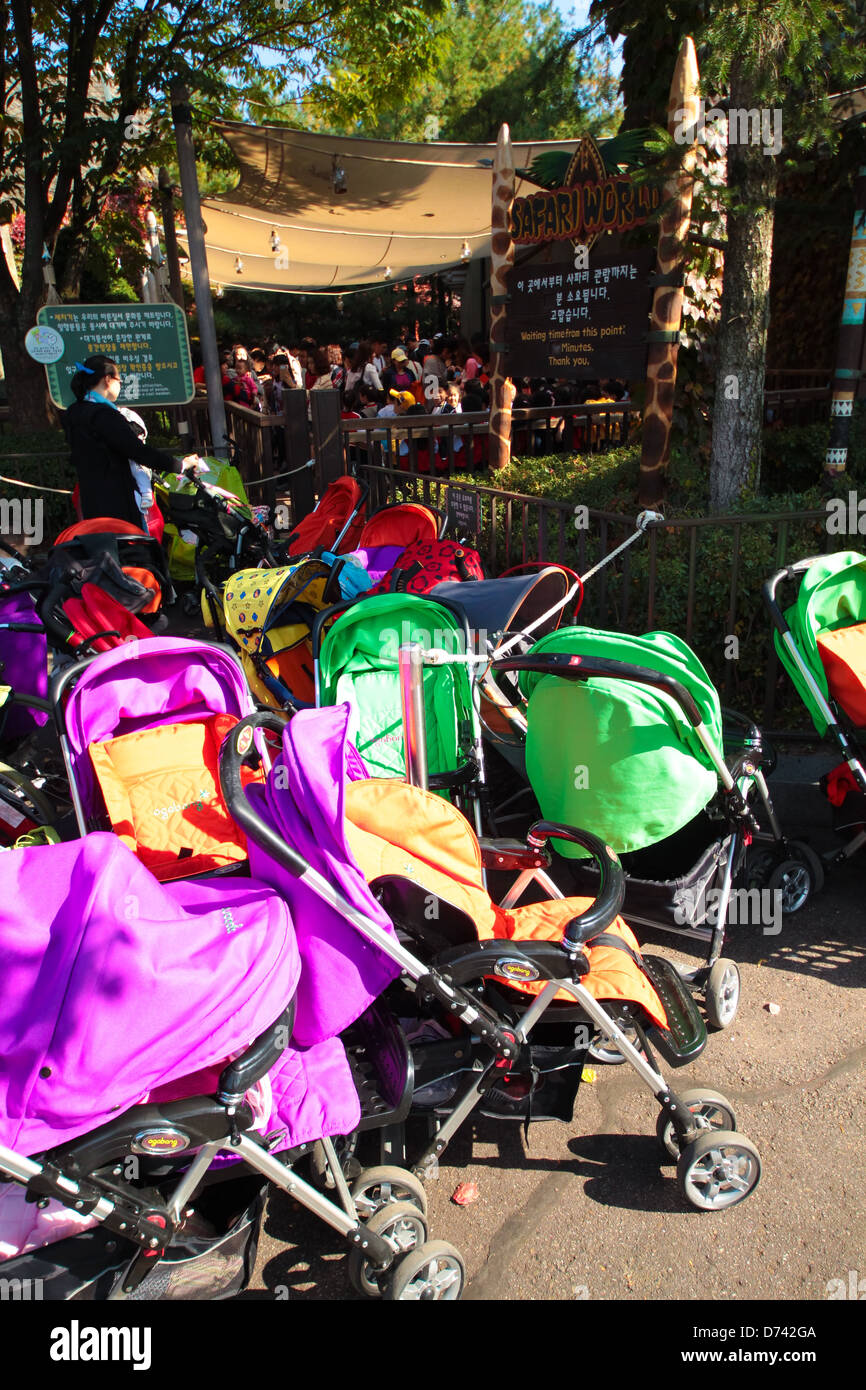 Many toddler strollers parked in front the Safari Park at Everland ...