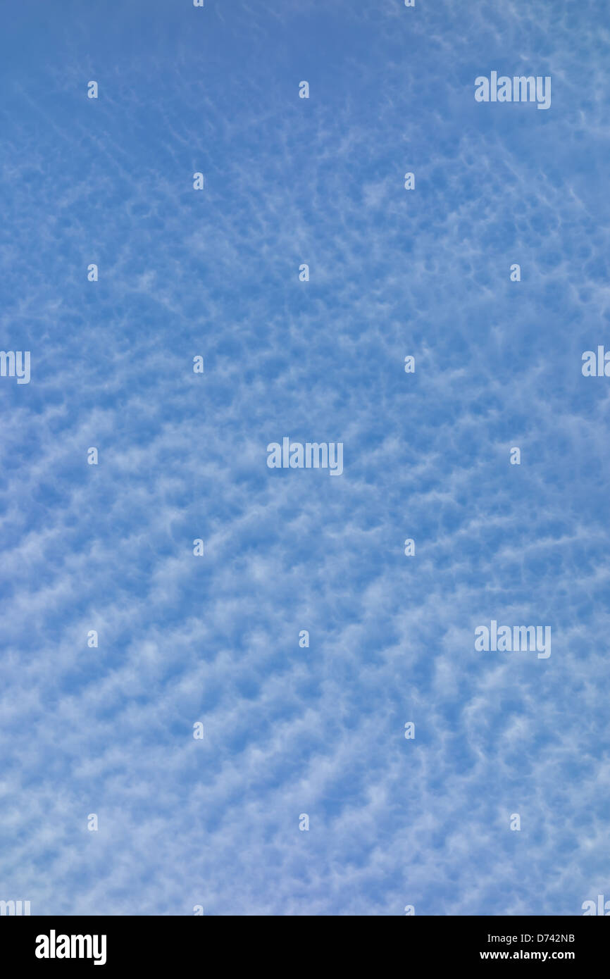 Cirrus clouds, mare's tail in blue sky Stock Photo - Alamy