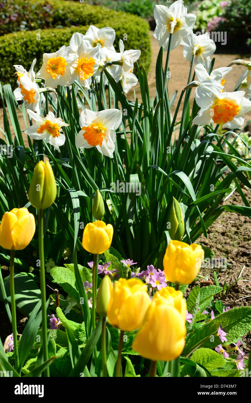 Spring flowers in The Walled Garden, La Seigneurie Gardens, Greater ...