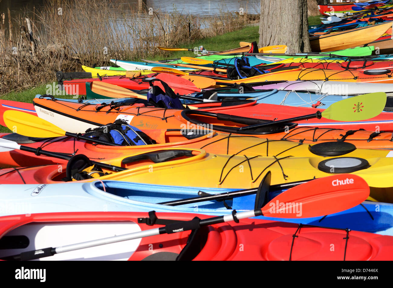 Competitors kayaks in Triathlon Stock Photo - Alamy