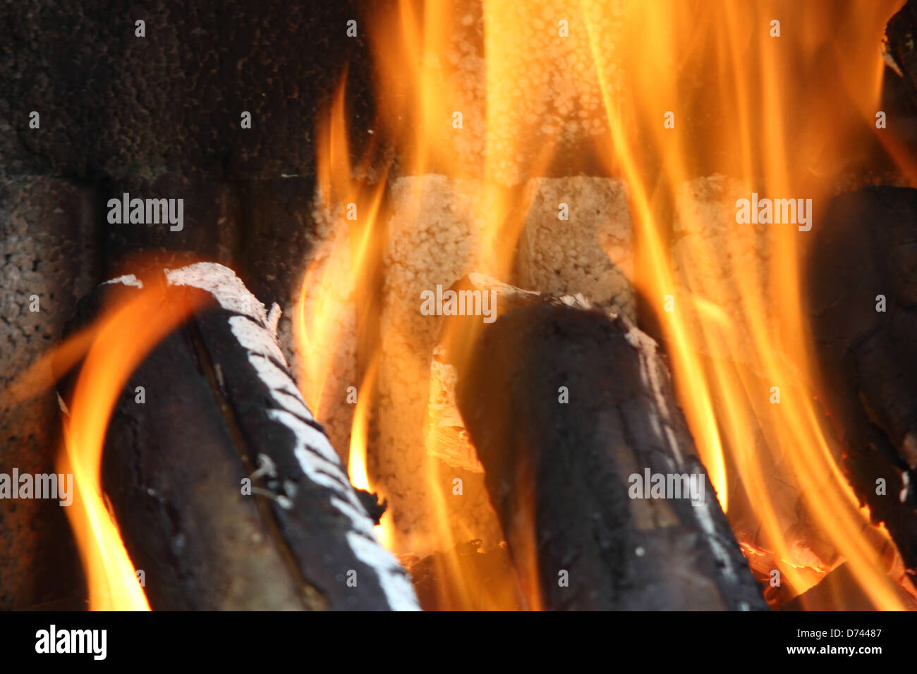 preparing barbecue with odorous trunks and flame Stock Photo - Alamy