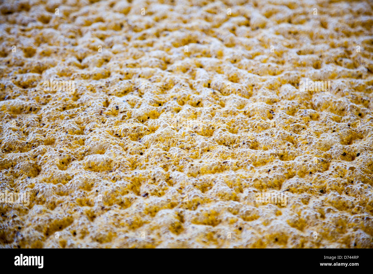 Sour mash label hi-res stock photography and images - Alamy