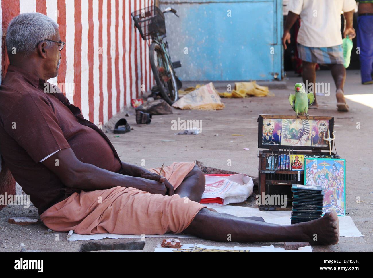 Parrot Tarot Reader Stock Photo - Alamy