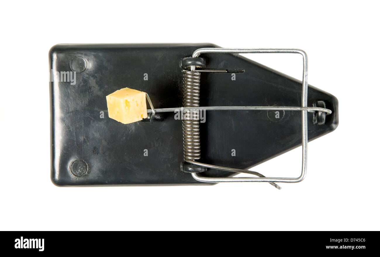 A mouse trap with cheese on it Stock Photo - Alamy