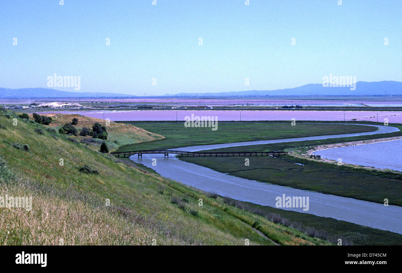 Newark Slough and salt evaporation ponds. San Francisco Bay National ...