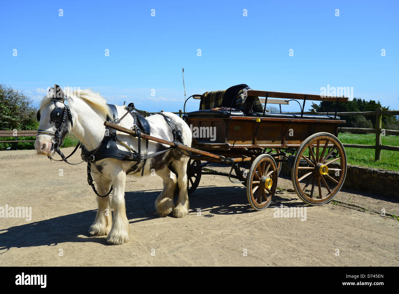 Horse carriage sark channel islands hi-res stock photography and images ...