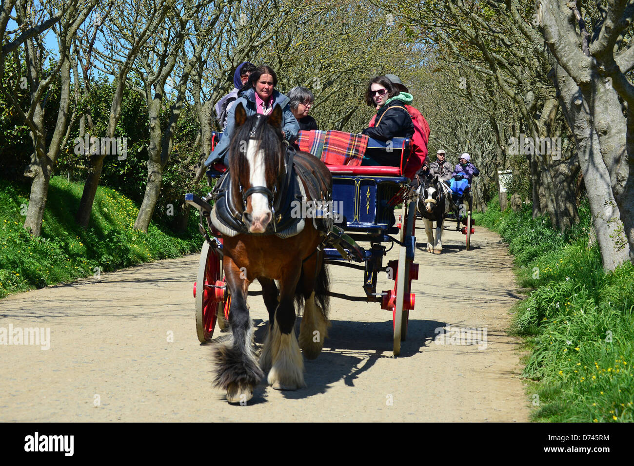 Tourists on horse-drawn carriage ride, Greater Sark, Sark, Bailiwick of ...