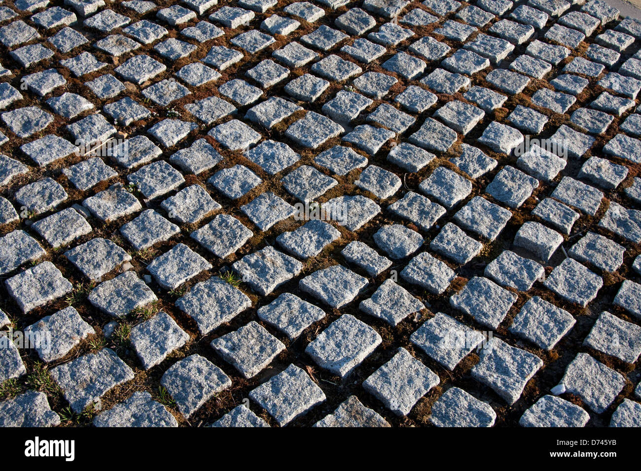 A cobbled pavement in early evening sunlight Stock Photo - Alamy