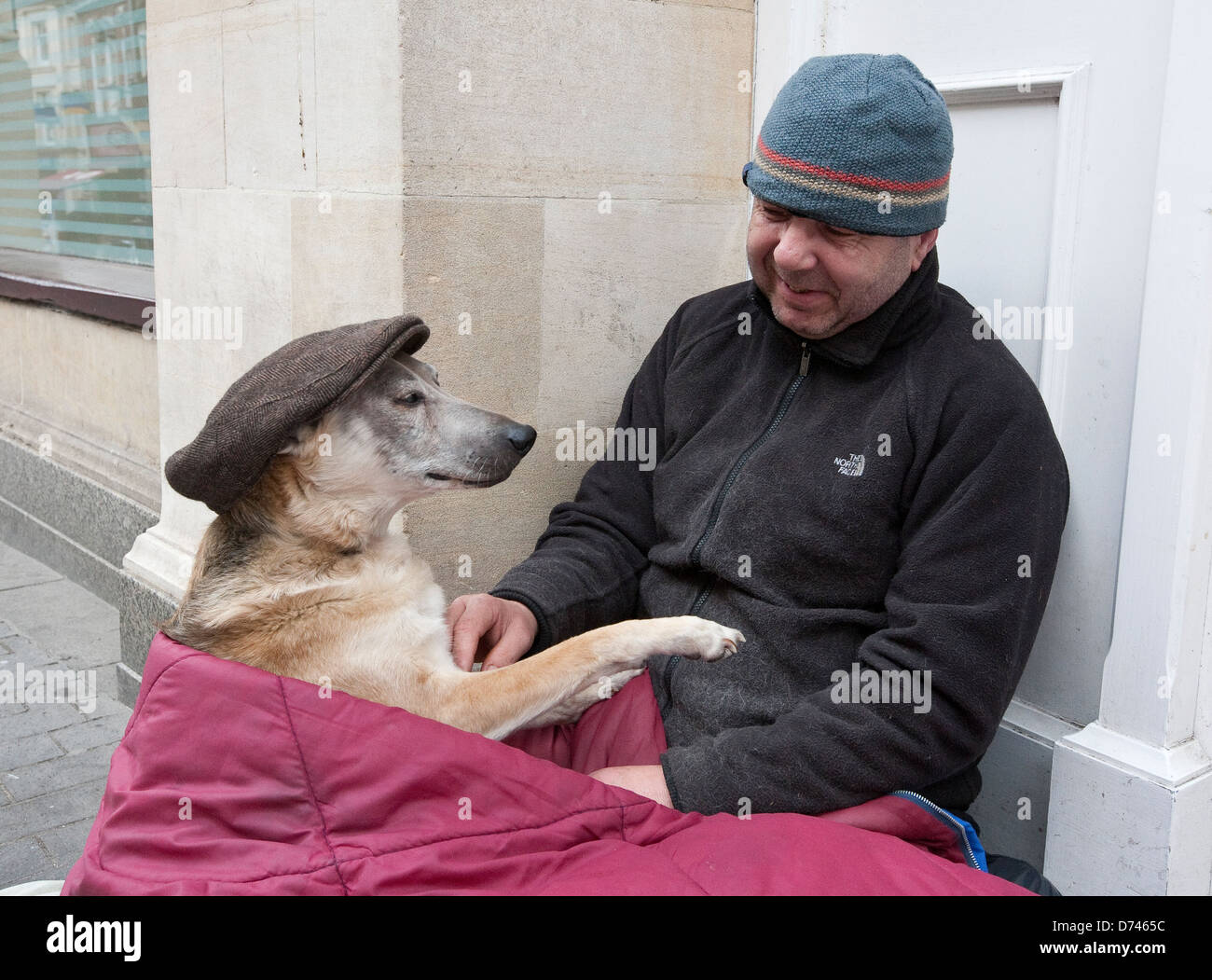 Vagrant and dog Stock Photo - Alamy