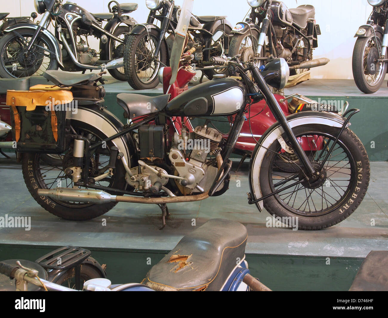 Sarolea hi-res stock photography and images - Alamy