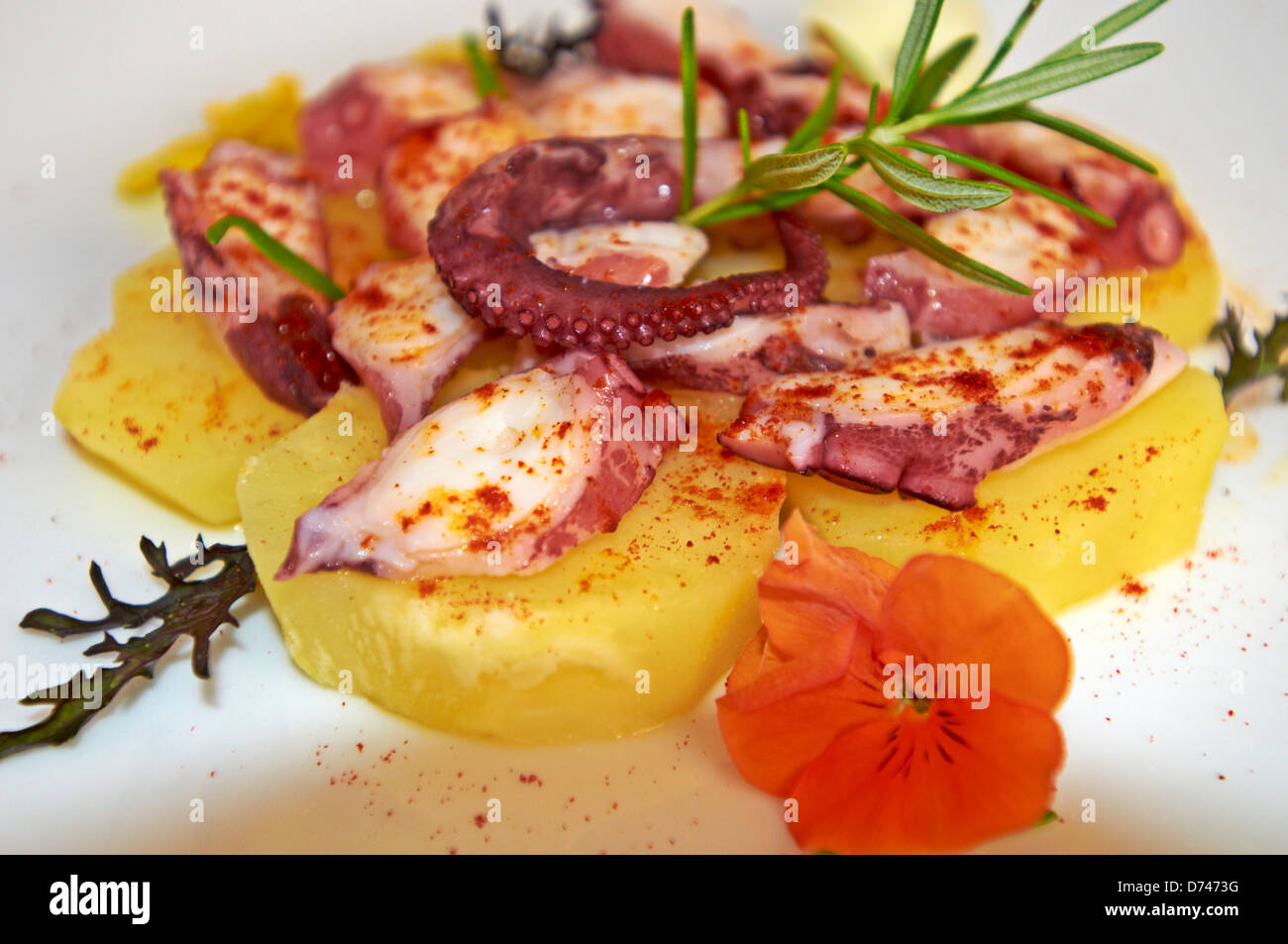 -Octopus Gallega Stile- Spanish Food Stock Photo - Alamy