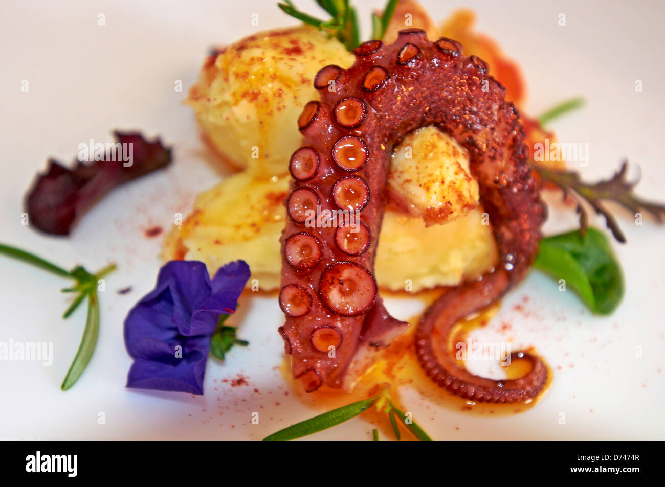 -Octopus Gallega Stile- Spanish Food Stock Photo - Alamy