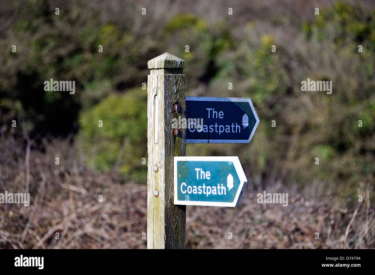 Signpost showing the way for the coat path Cornwall Stock Photo - Alamy