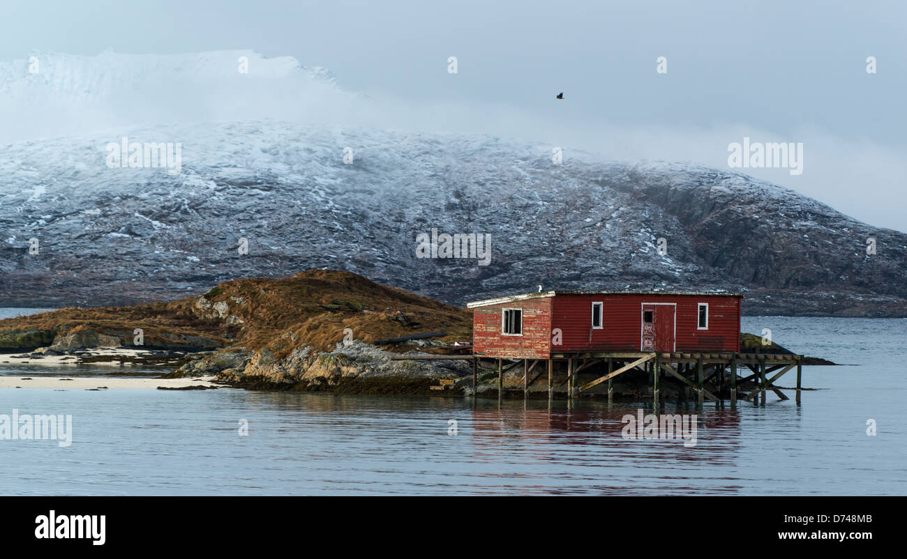 Shack on a little island in Sommarøy, Norway Stock Photo - Alamy
