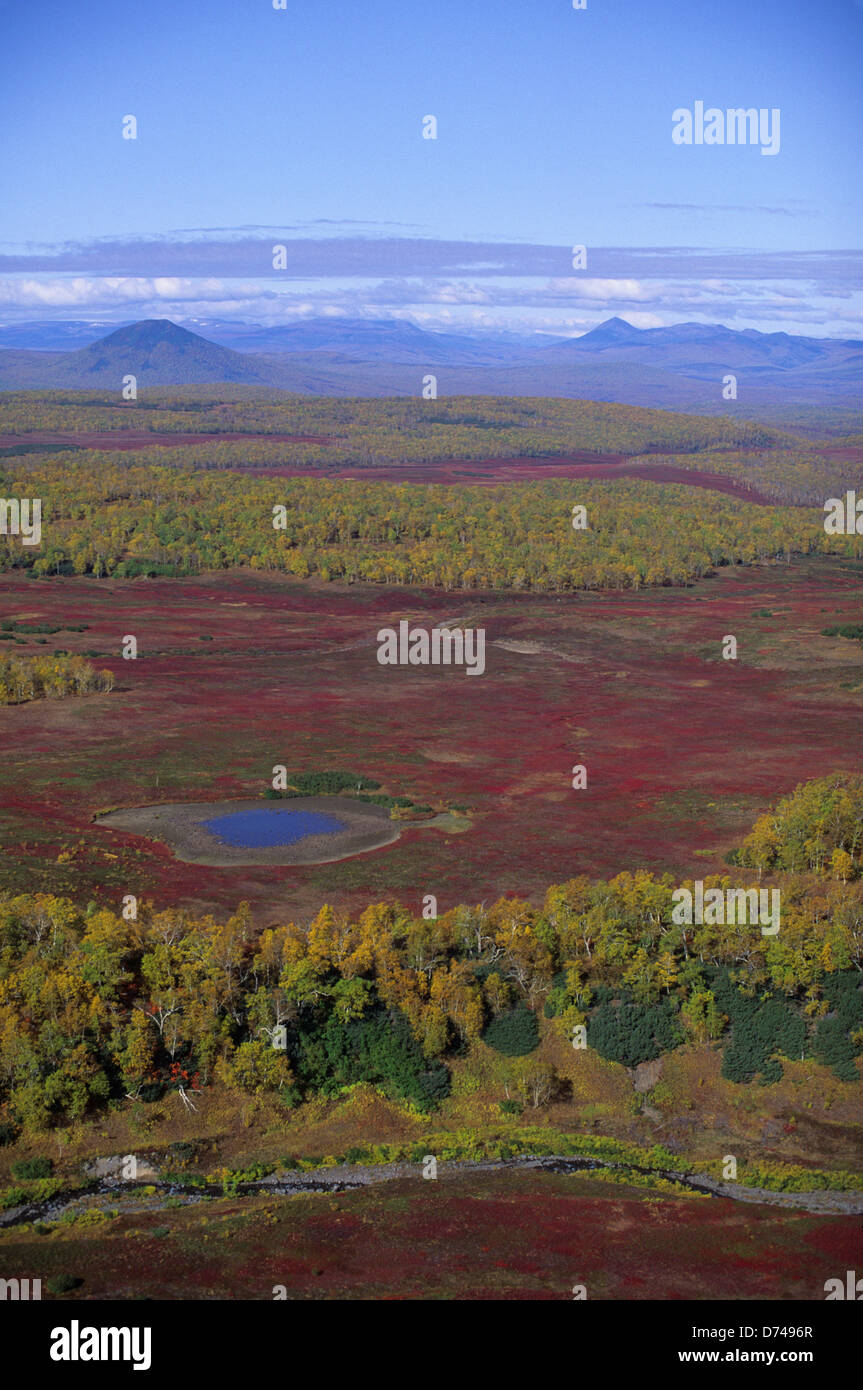 Russia, Kamchatka, View Of Forest And Tundra Between Avacha And ...