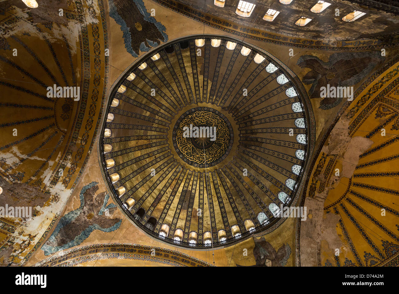 Hexapterygon hi-res stock photography and images - Alamy