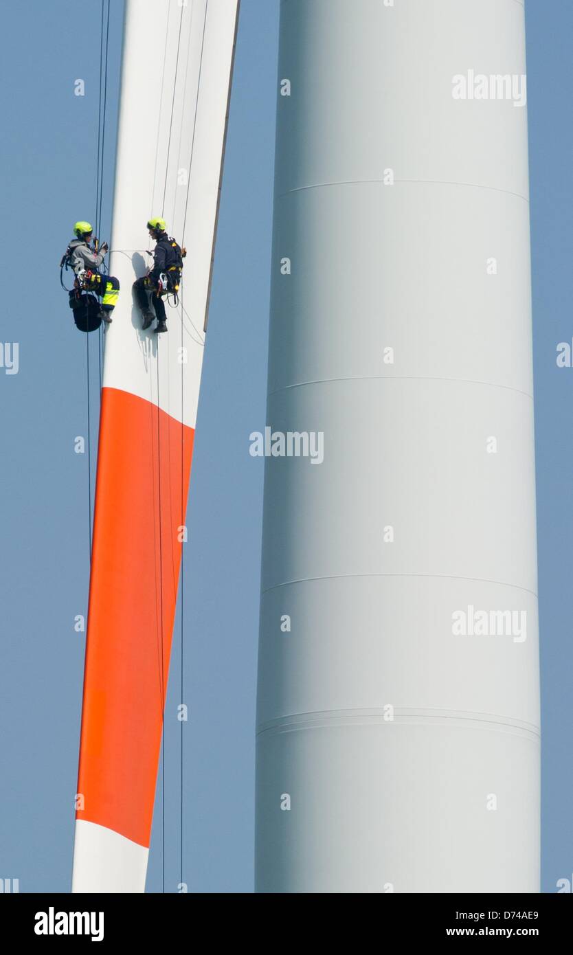 Two maintenance engineers examine a rotor blade of a wind turbine near ...