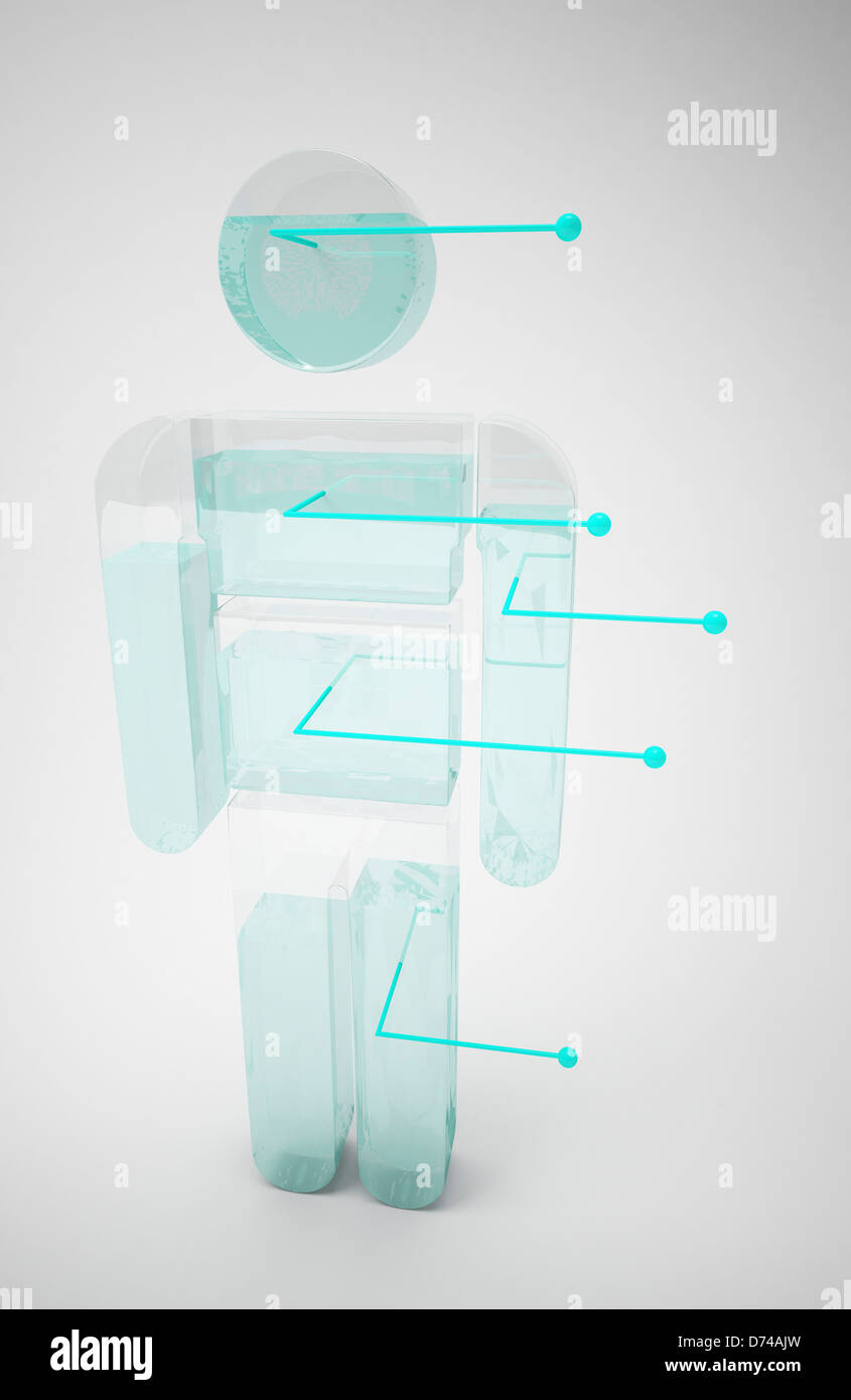 icon of human with each parts indicated Stock Photo - Alamy