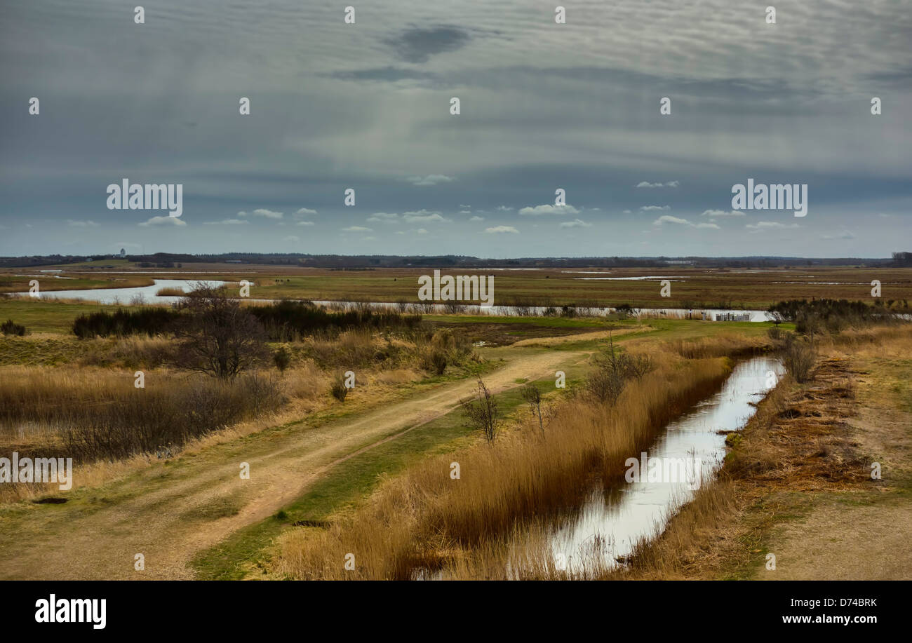 Meadows near Skjern, Ringkobing Denmark Stock Photo - Alamy