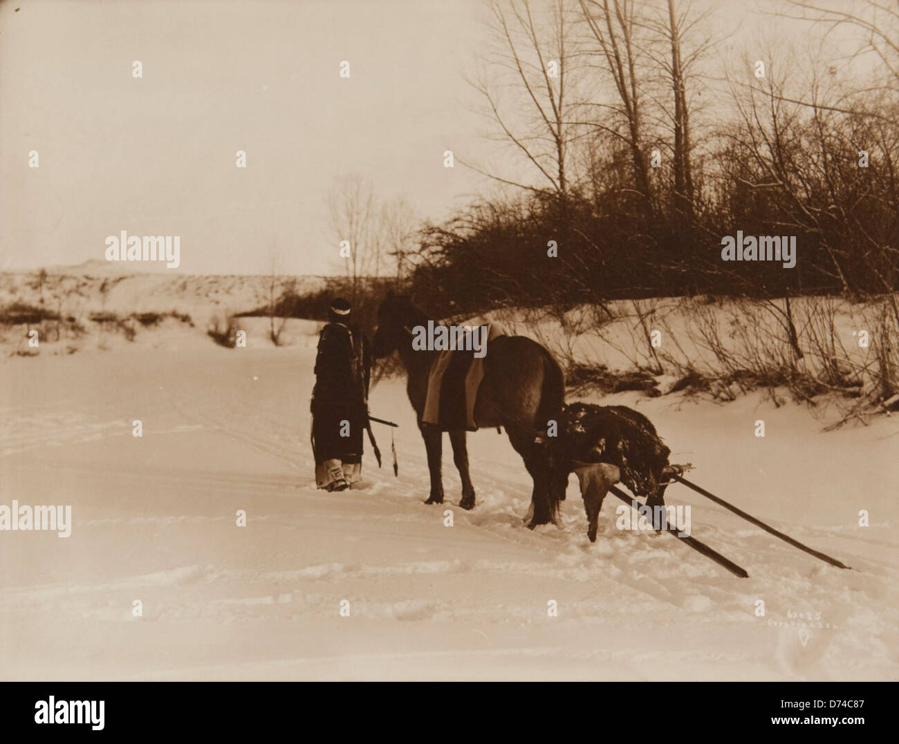 Travois hi-res stock photography and images - Alamy