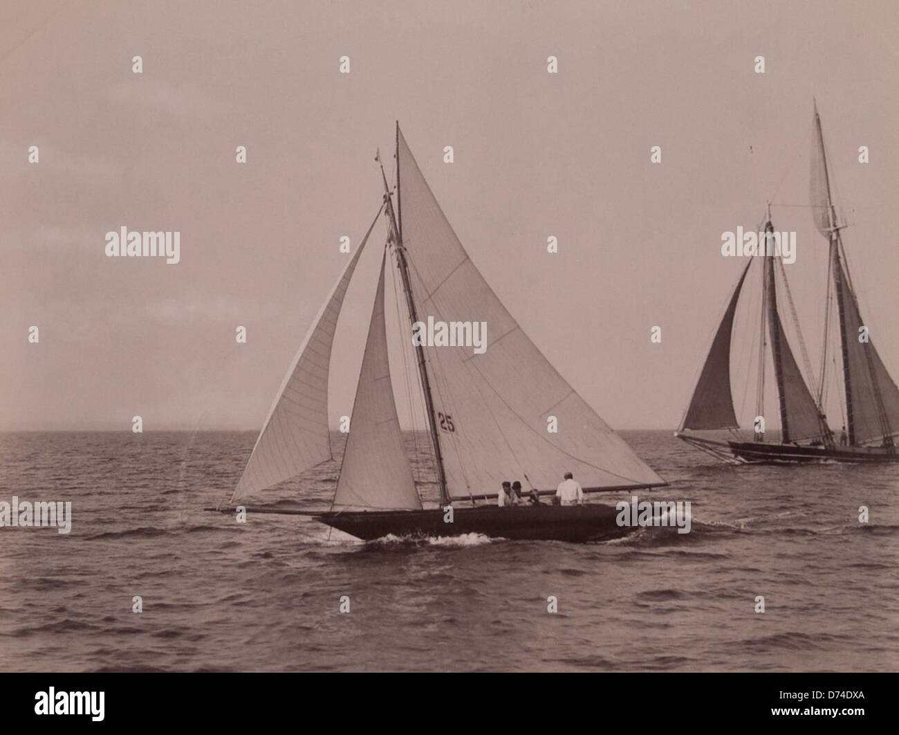 Pyxie hi-res stock photography and images - Alamy