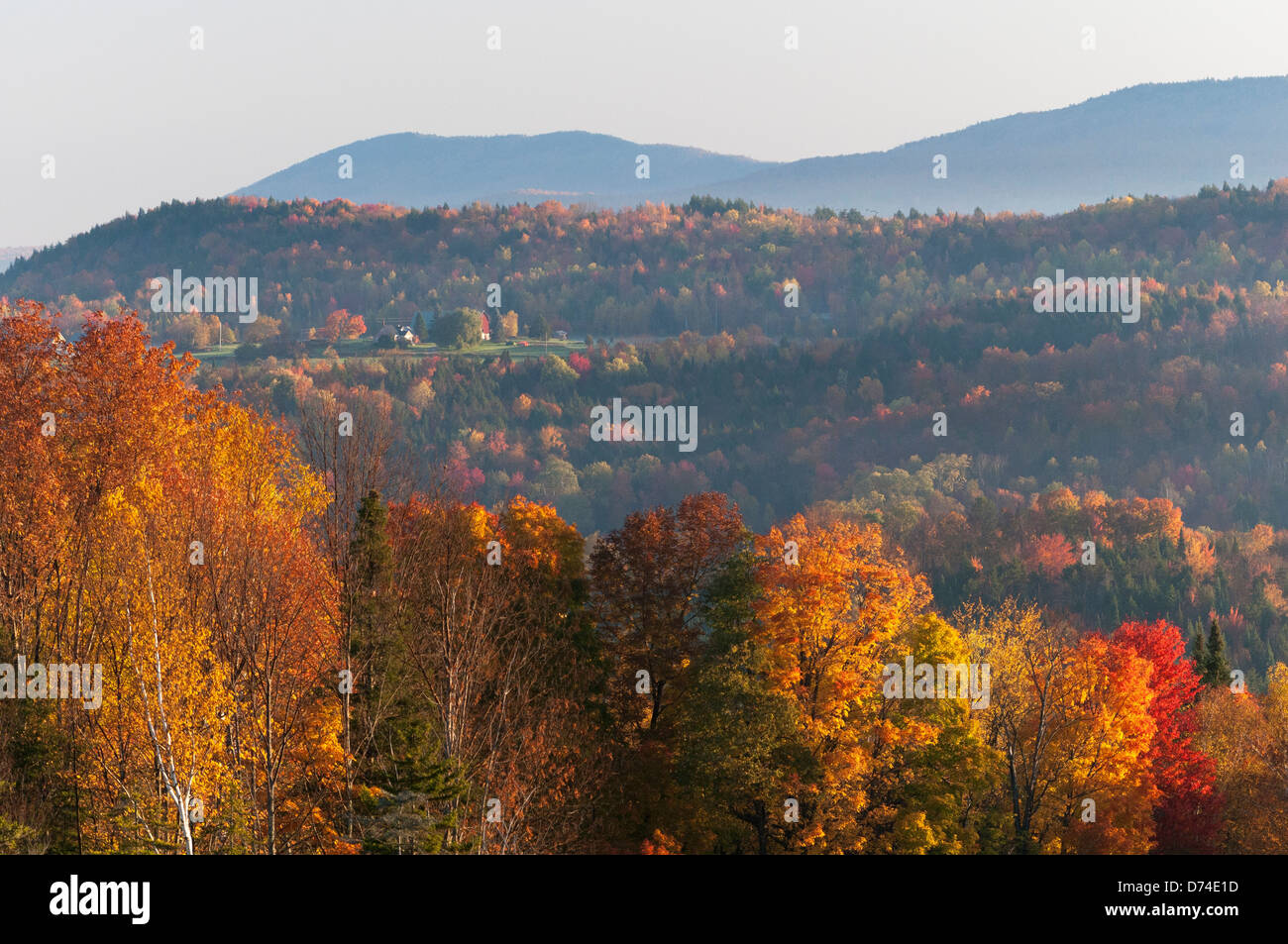 USA, Vermont, Stowe, Morning sunrise during fall foliage season Stock ...