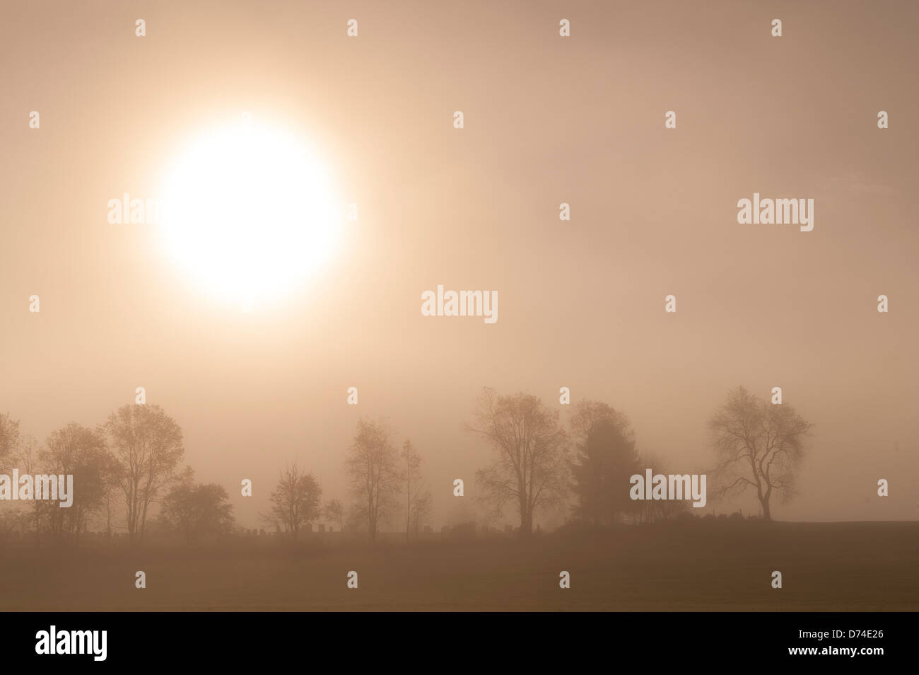 Treeline fog fall hi-res stock photography and images - Alamy