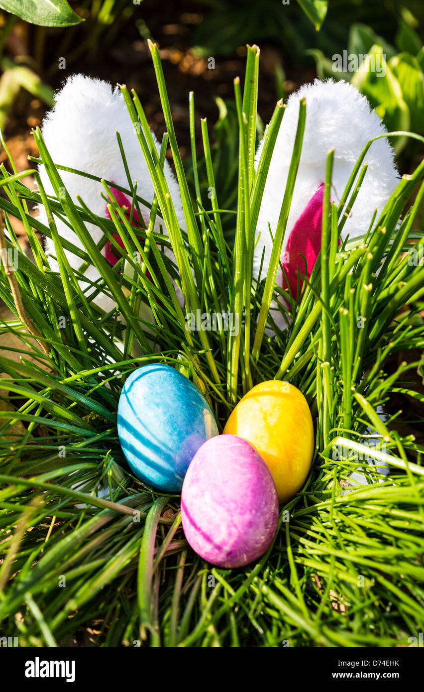 The Easter Bunny hides behind a tall bunch of grass where Easter Eggs ...
