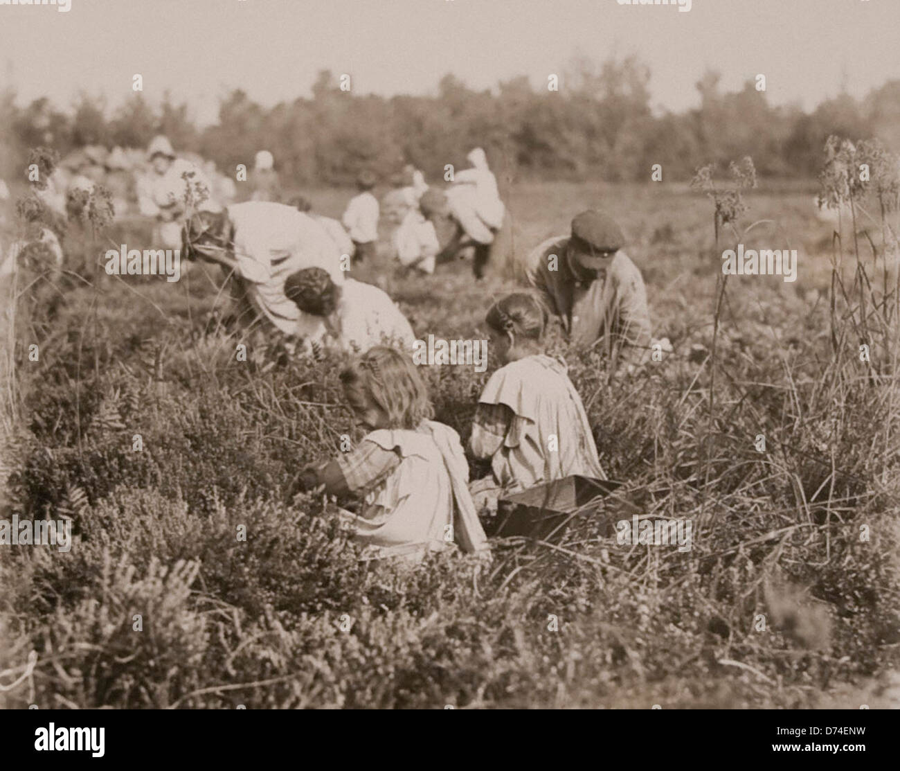 Pemberton new jersey hi-res stock photography and images - Alamy