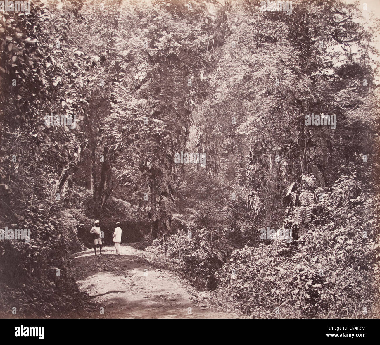 Tukvar india hi-res stock photography and images - Alamy