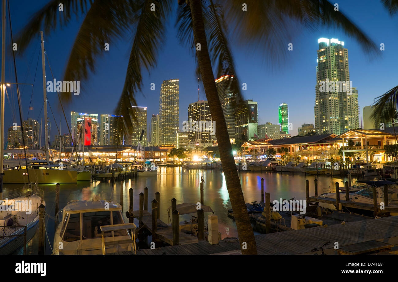 Miami Skyline viewed over bay and Marina, Florida, USA Stock Photo - Alamy