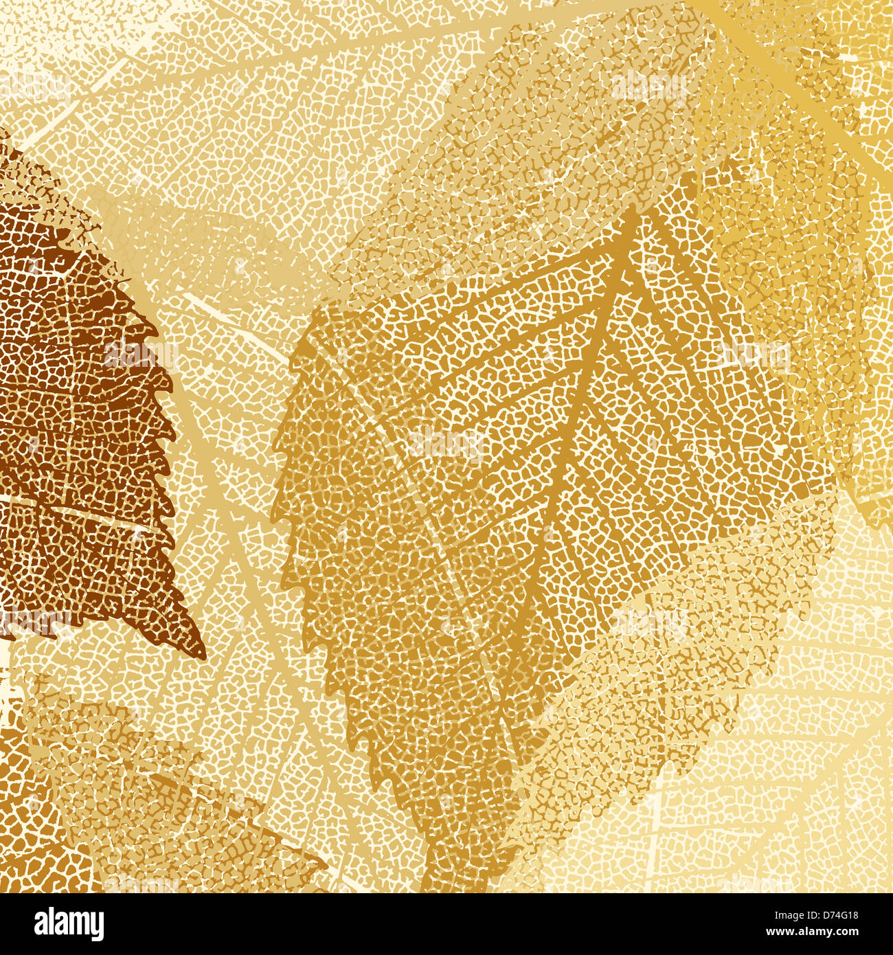 Dry autumn leaves template Stock Photo - Alamy