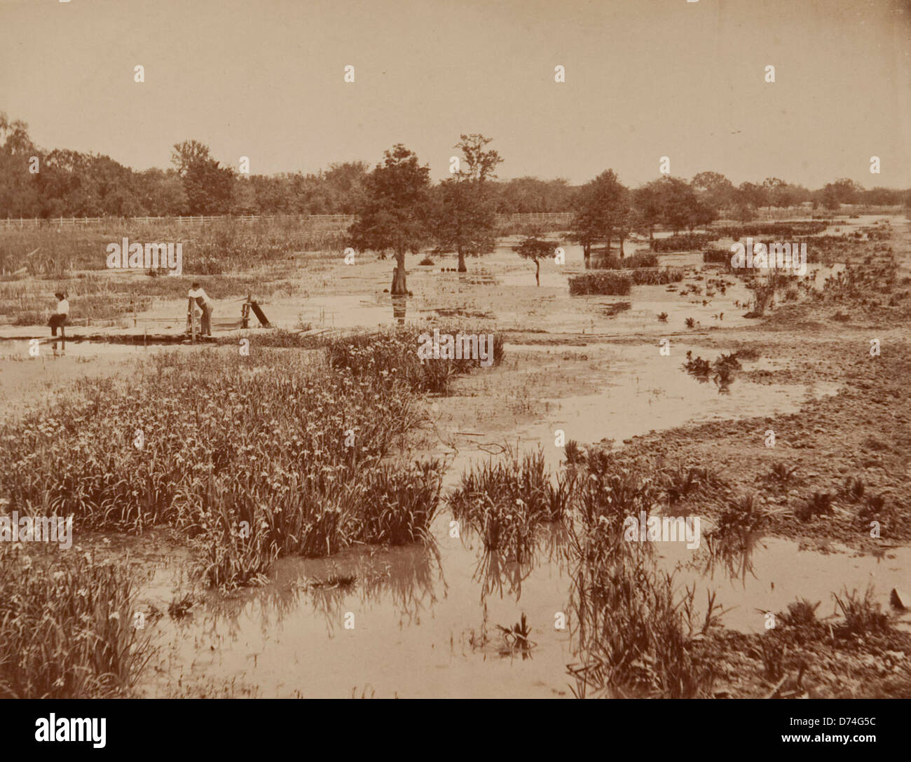 This photograph presents a flooded landscape, showing the dramatic ...